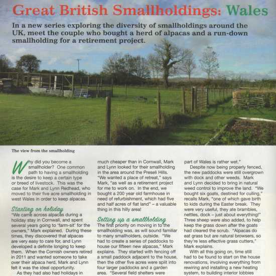 Helen Babbs | Journalist & smallholder